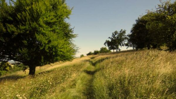 Matilda the Musical Filming Locations | 2022