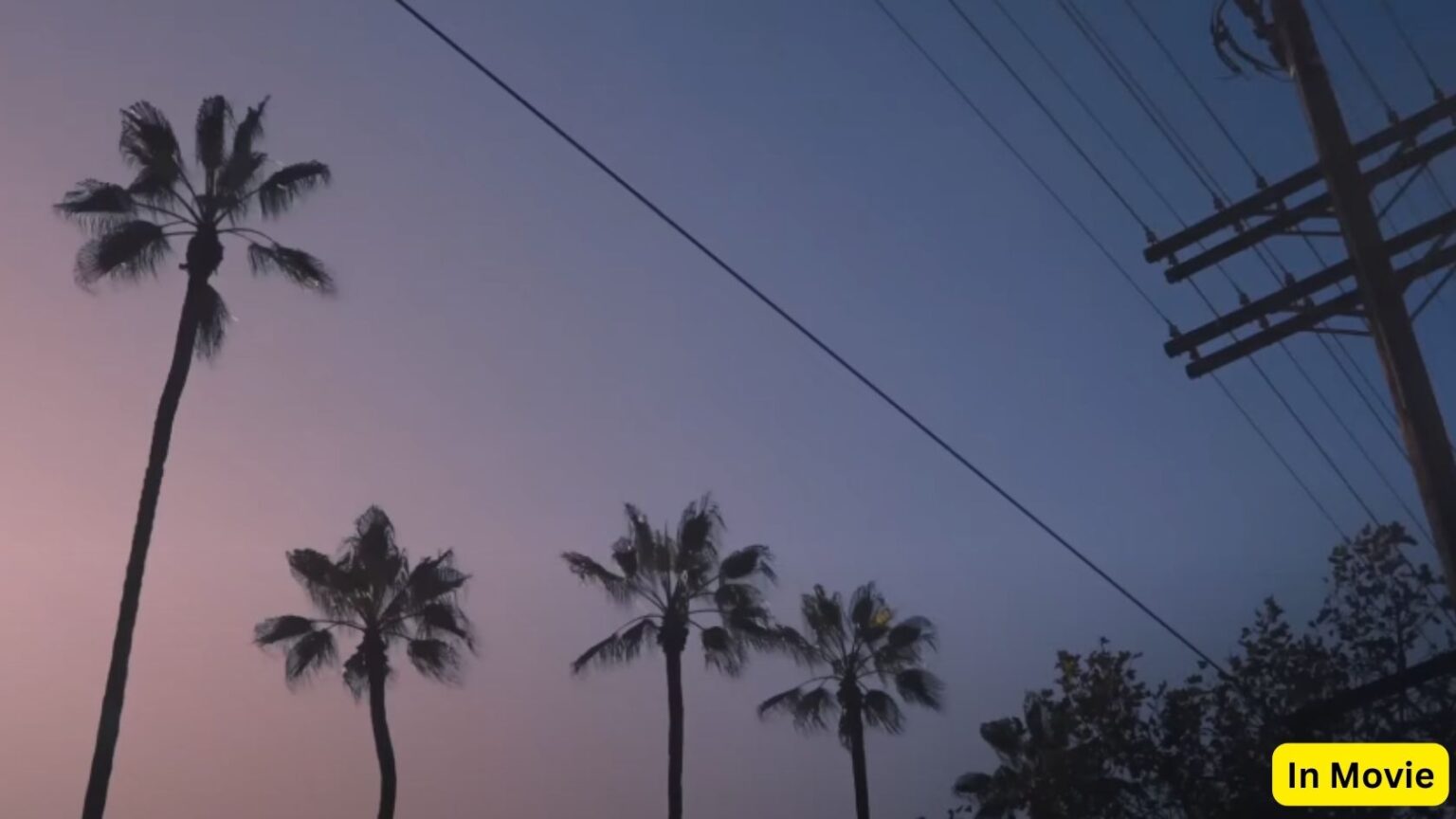 Lola Filming Locations (2024) - A2Z Filming Location